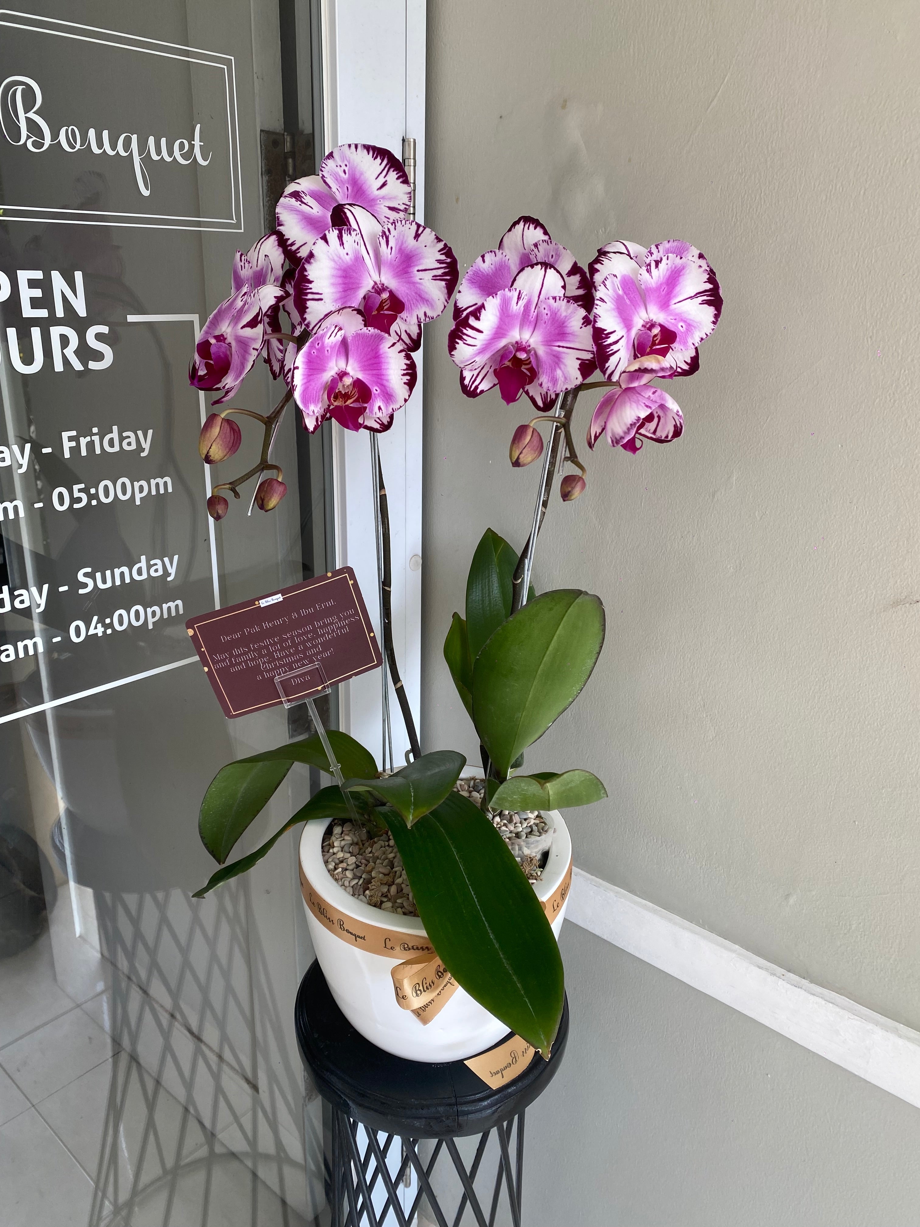 Rangkaian Bunga Anggrek Surabaya – Elegan & Mewah dari Le Bliss Bouque ...